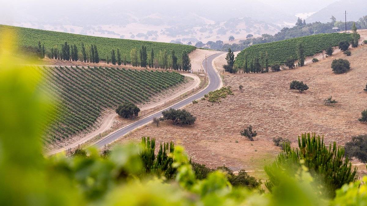 Land Values | Peoples Company