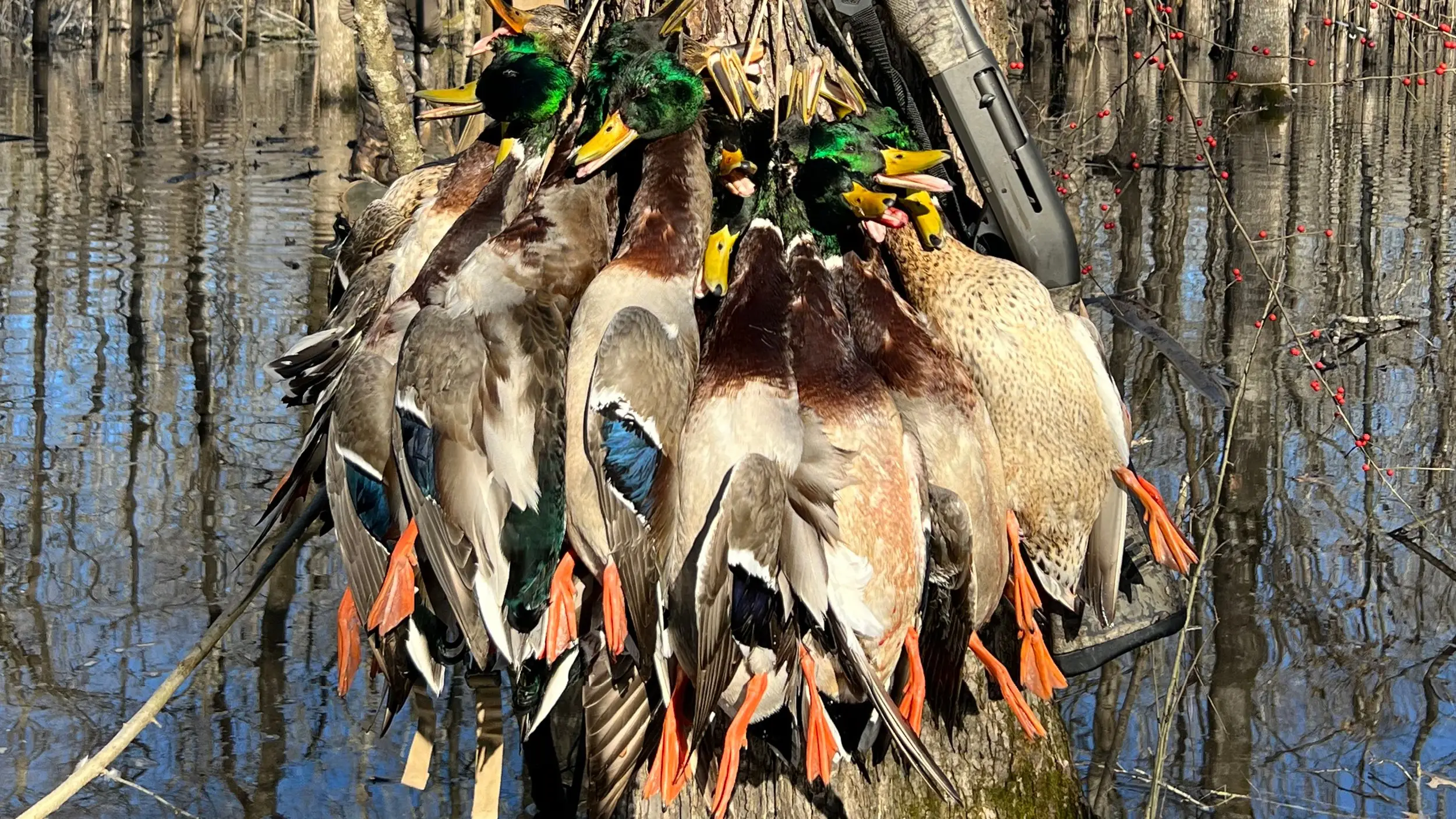Louisiana Delta Waterfowl Hunting | Peoples Company