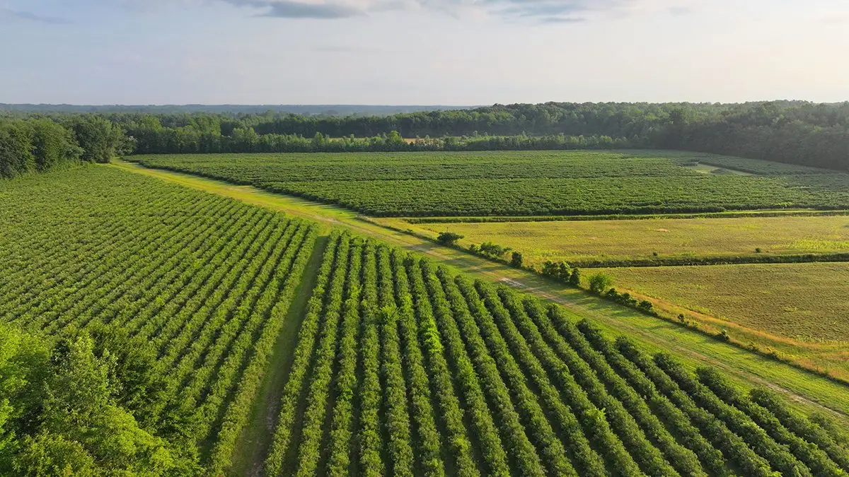 Drilling Sideways: The High-Tech Magic of Horizontal Oil Wells | Peoples Company