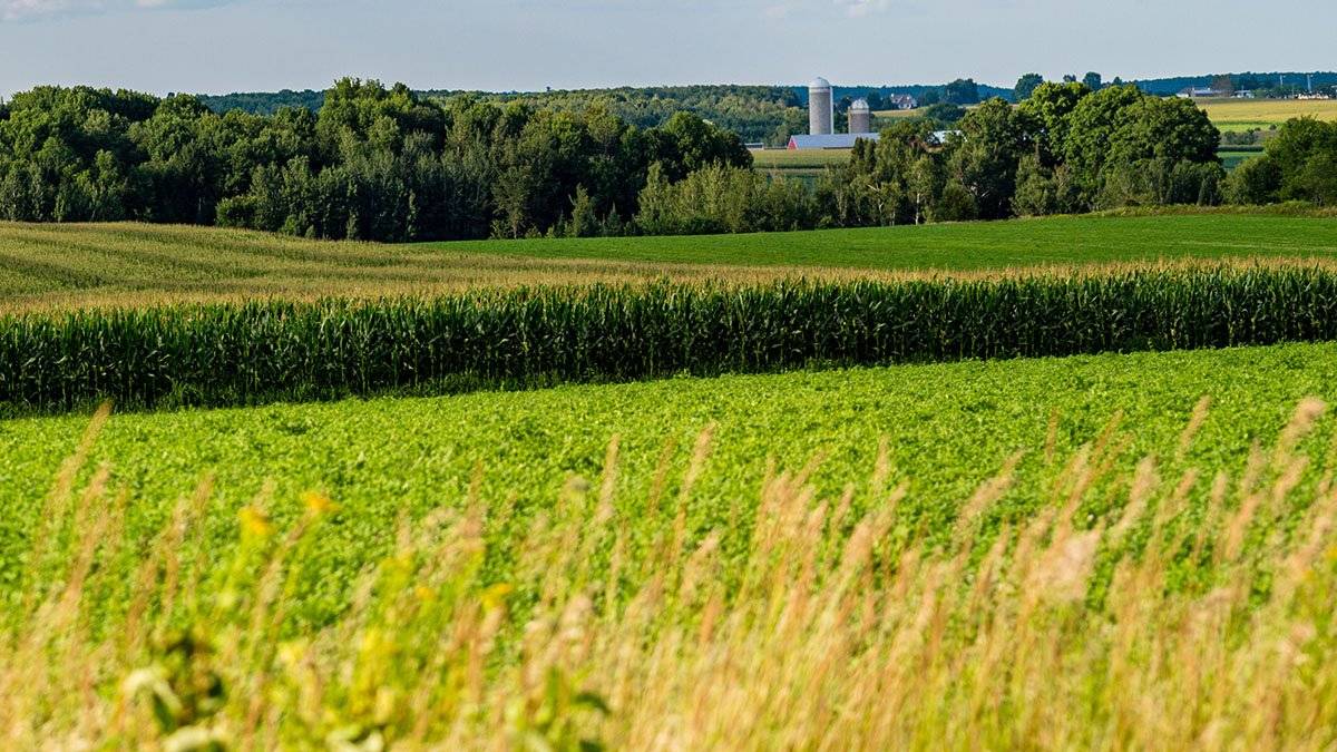 Land Values | Peoples Company